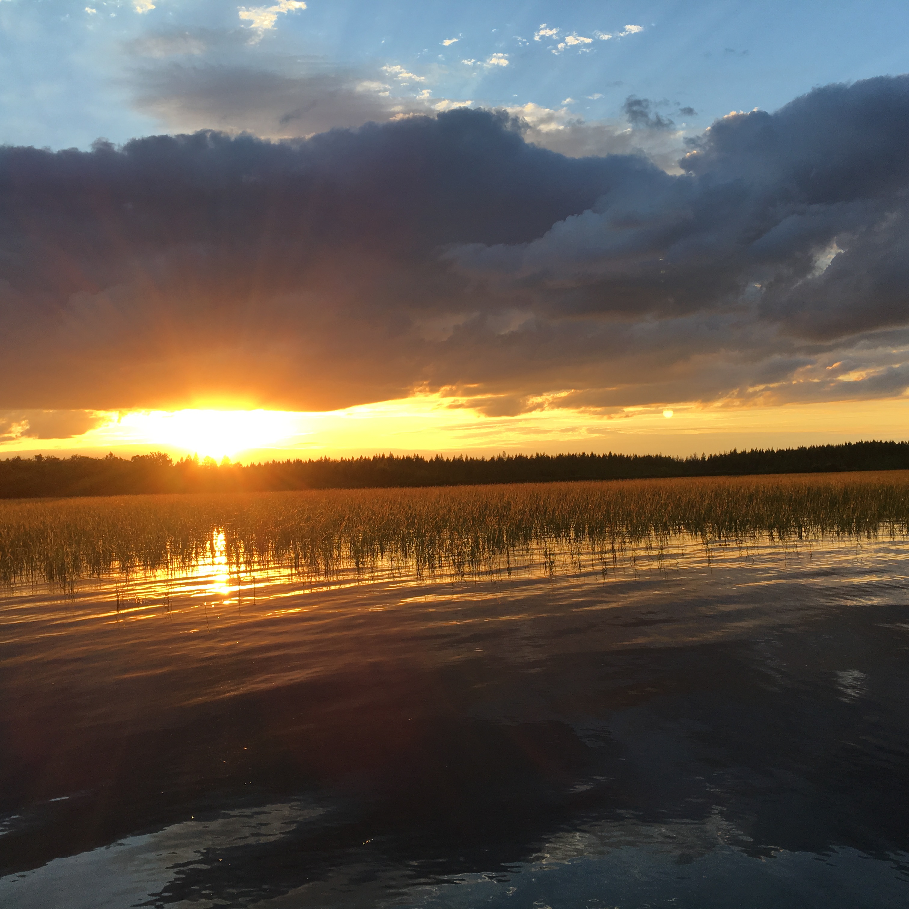 Leech Lake Minnesota - Joyful Adventures